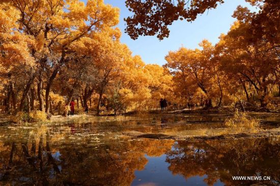 Stunning snapshots from autumn scenery across China - People's Daily Online