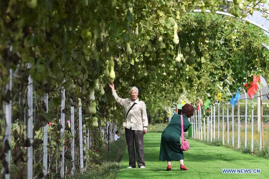 Huyan Village in Shanxi develops rural scenic spot to boost tourism ...