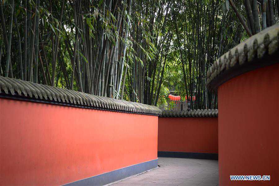Spring scenery in Chengdu, China's Sichuan (7) - People's Daily Online