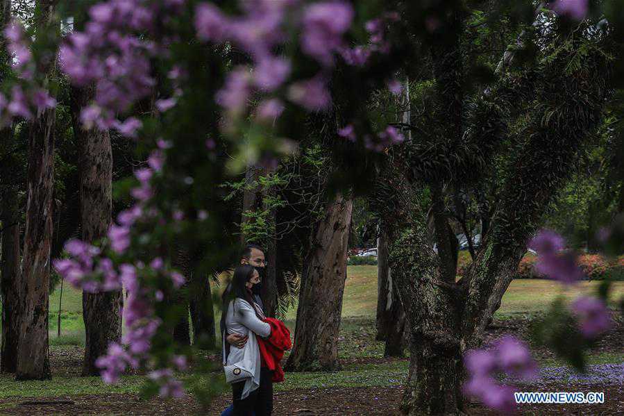 In pics: first day of spring in Sao Paulo, Brazil - People's Daily Online