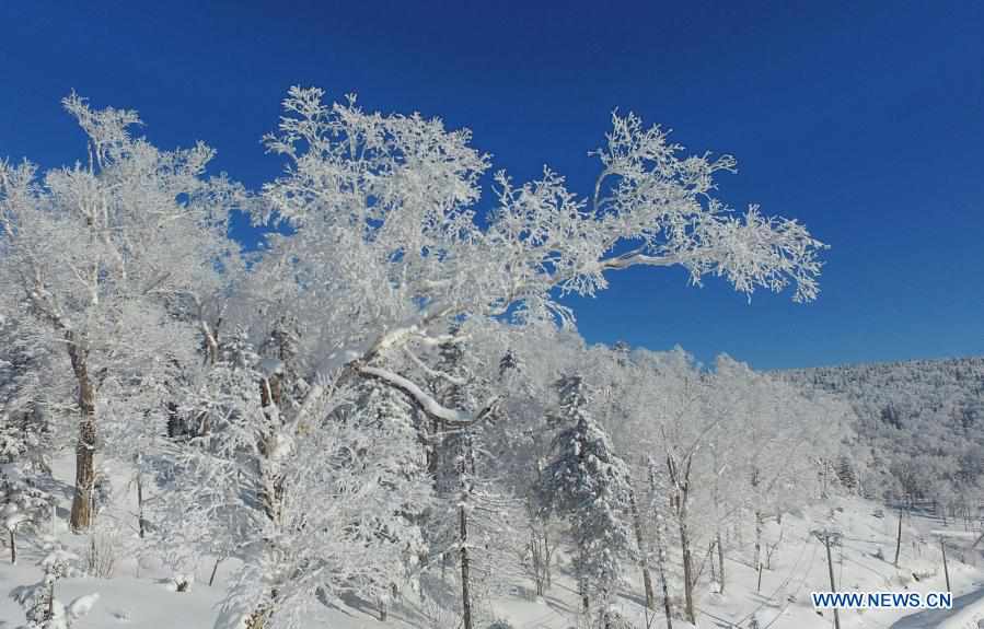 Snow scenery of Xuexiang National Forest Park in Heilongjiang (10 ...